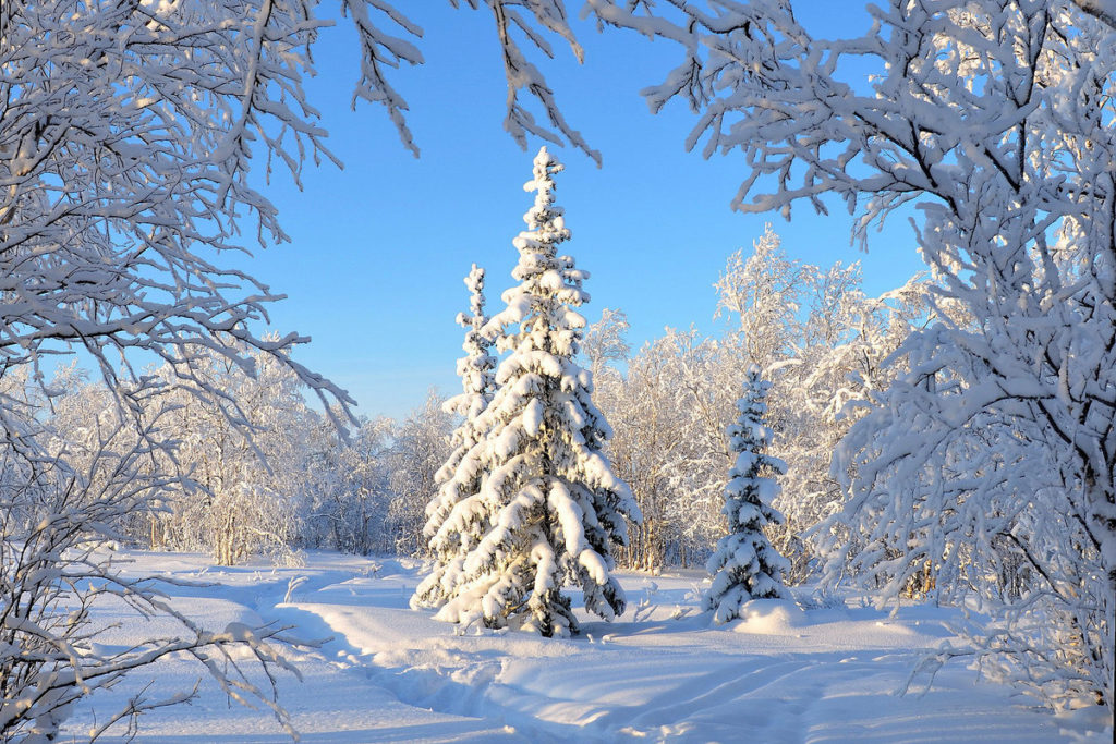 12 interesting facts about winter - STARNEWS